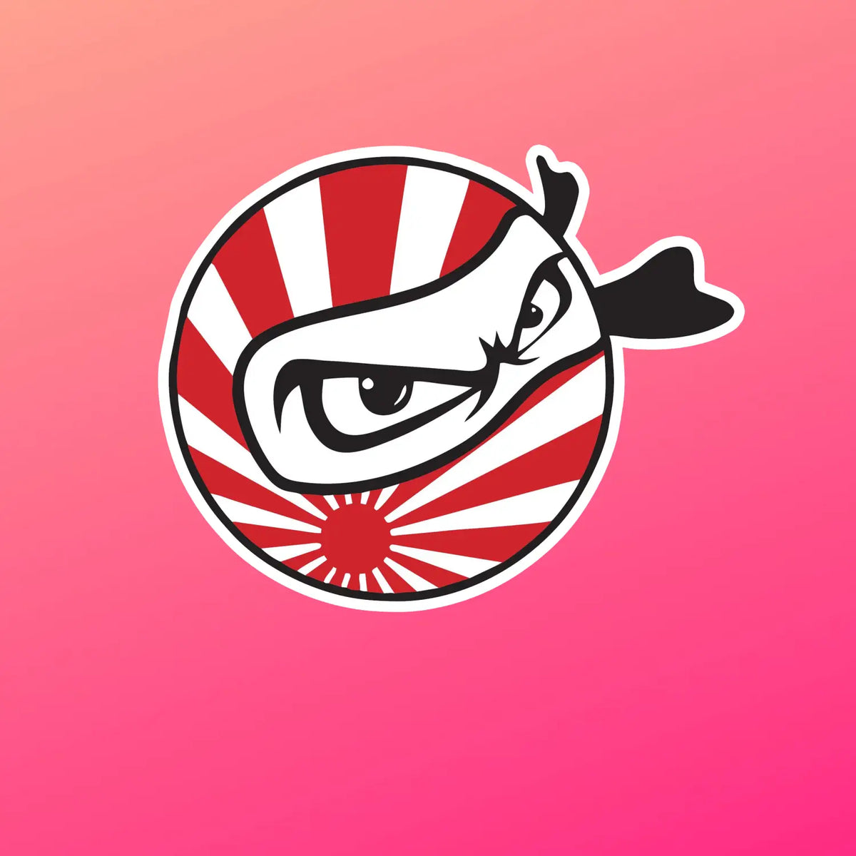 Top JDM Store New Arrivals | New Products Added – Page 2